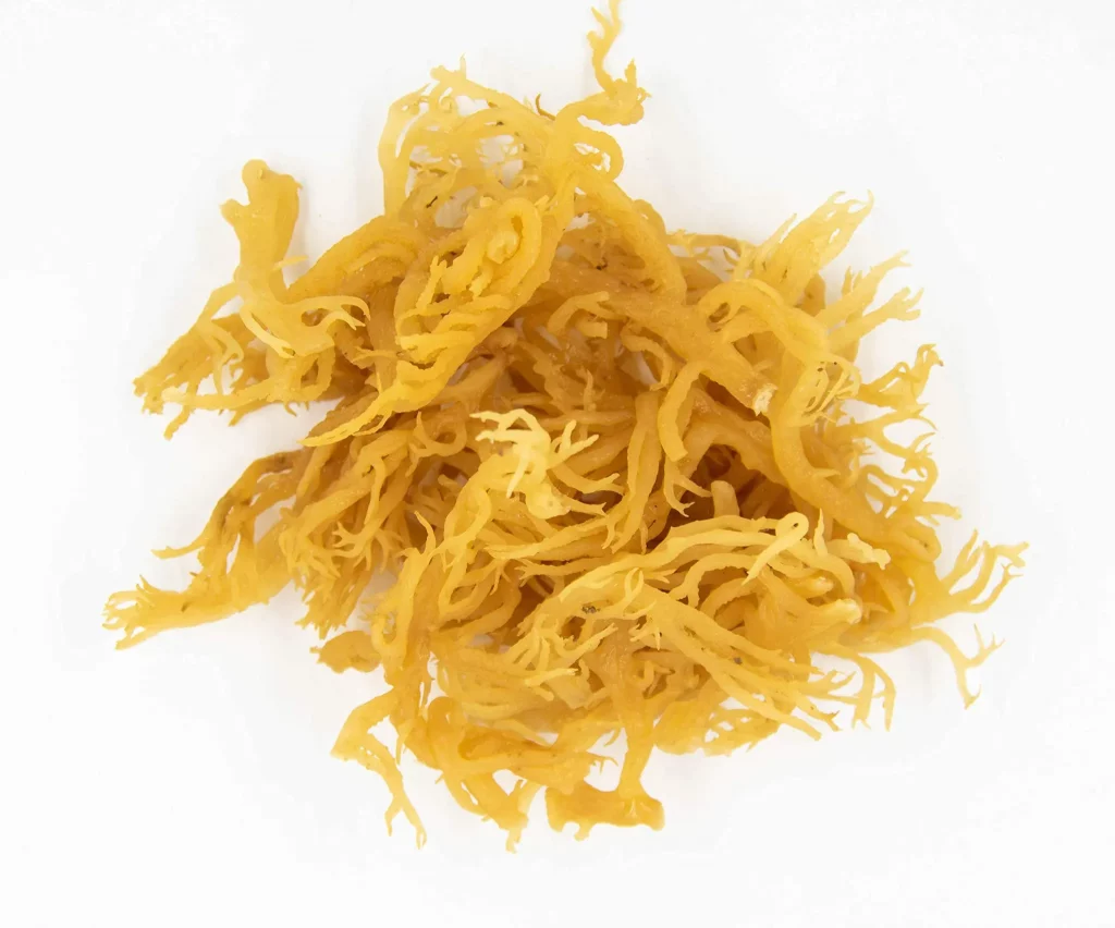 ALGA MUSGO DE MAR ECO ENTERA 1KG/25KG - POWER NATURAL LIFE